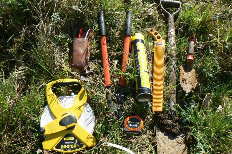 Tree Root Distribution - Usherwood Arboriculture